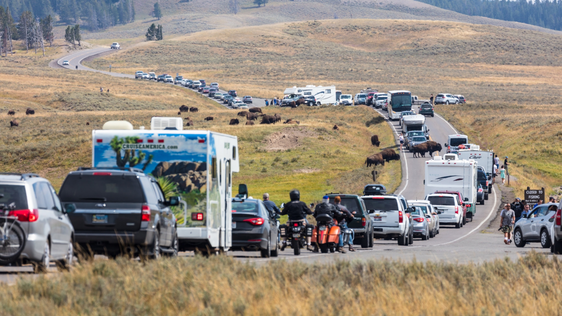 A Yellowstone National Park Ranger Shares Little-Known Insights ...