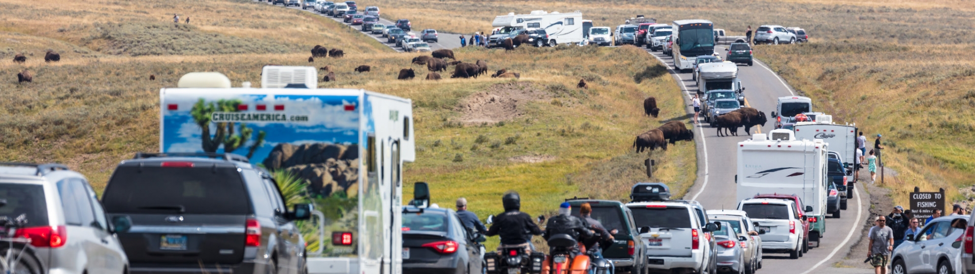 A Yellowstone National Park Ranger Shares Little-Known Insights ...