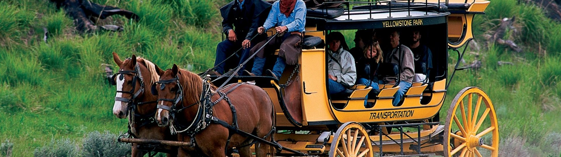 Tours of Yellowstone - Xanterra Travel Collection®